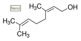 All About Aroma: The Therapeutic Value of Terpenes - AZ Cannabis News